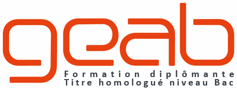 Descriptif de la formation : FORMATIONS DIPLOMANTES - GEAB ...